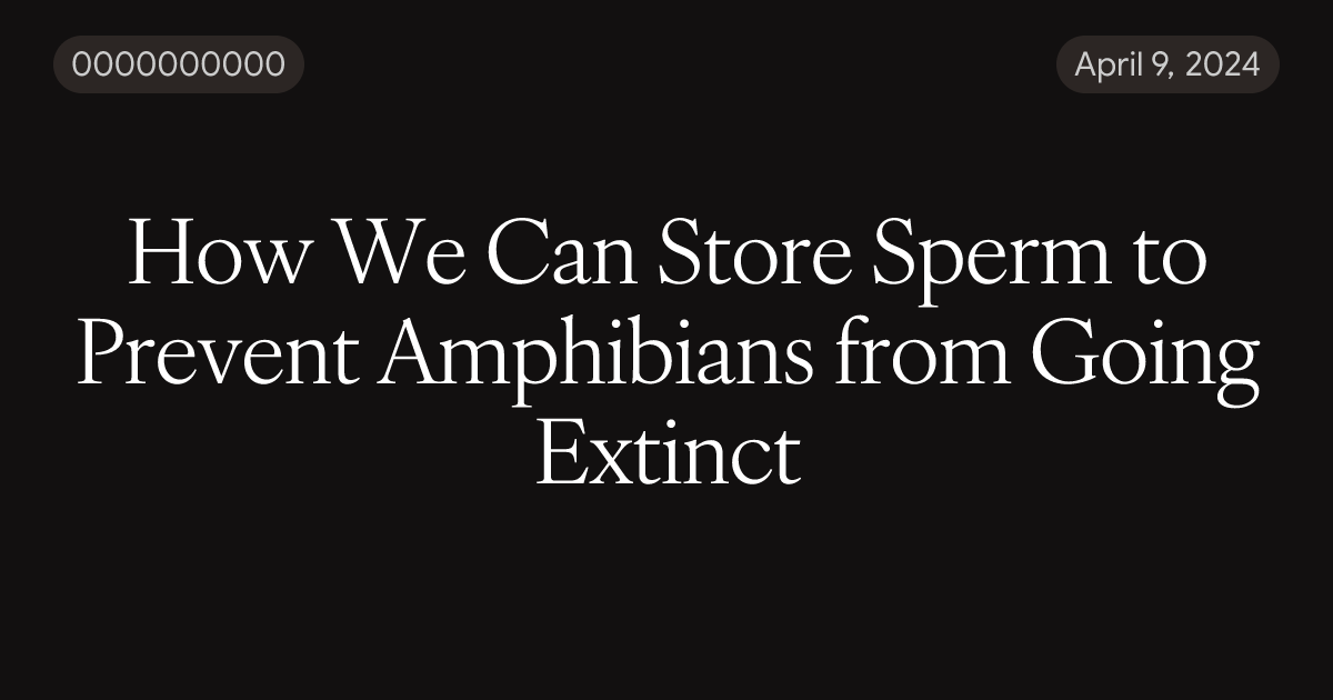 How We Can Store Sperm to Prevent Amphibians from Going Extinct