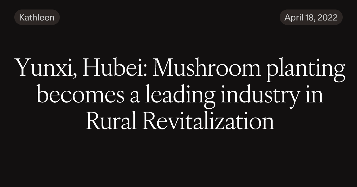 Yunxi, Hubei: Mushroom planting becomes a leading industry in Rural ...